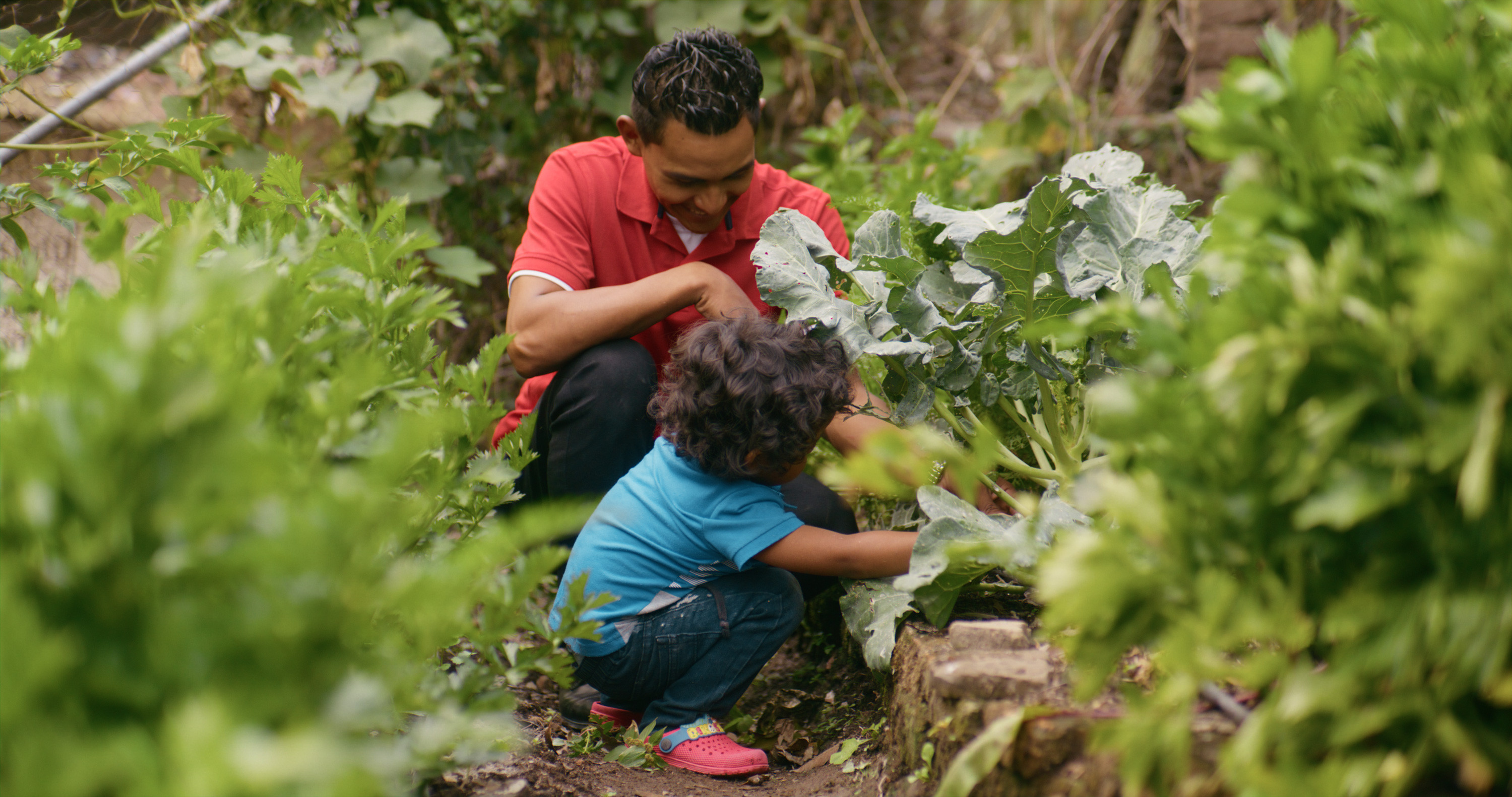 Myriad | Creative Video Production Agency | Videos Made Loud and Clear